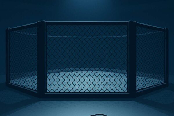 How to Bet UFC Fighters After a Knockout Loss - Core Sports Betting